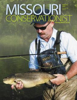 Switched On - sw:tch blog